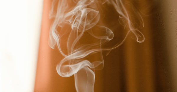 8 signs you might be building a weed tolerance - Grasspedia